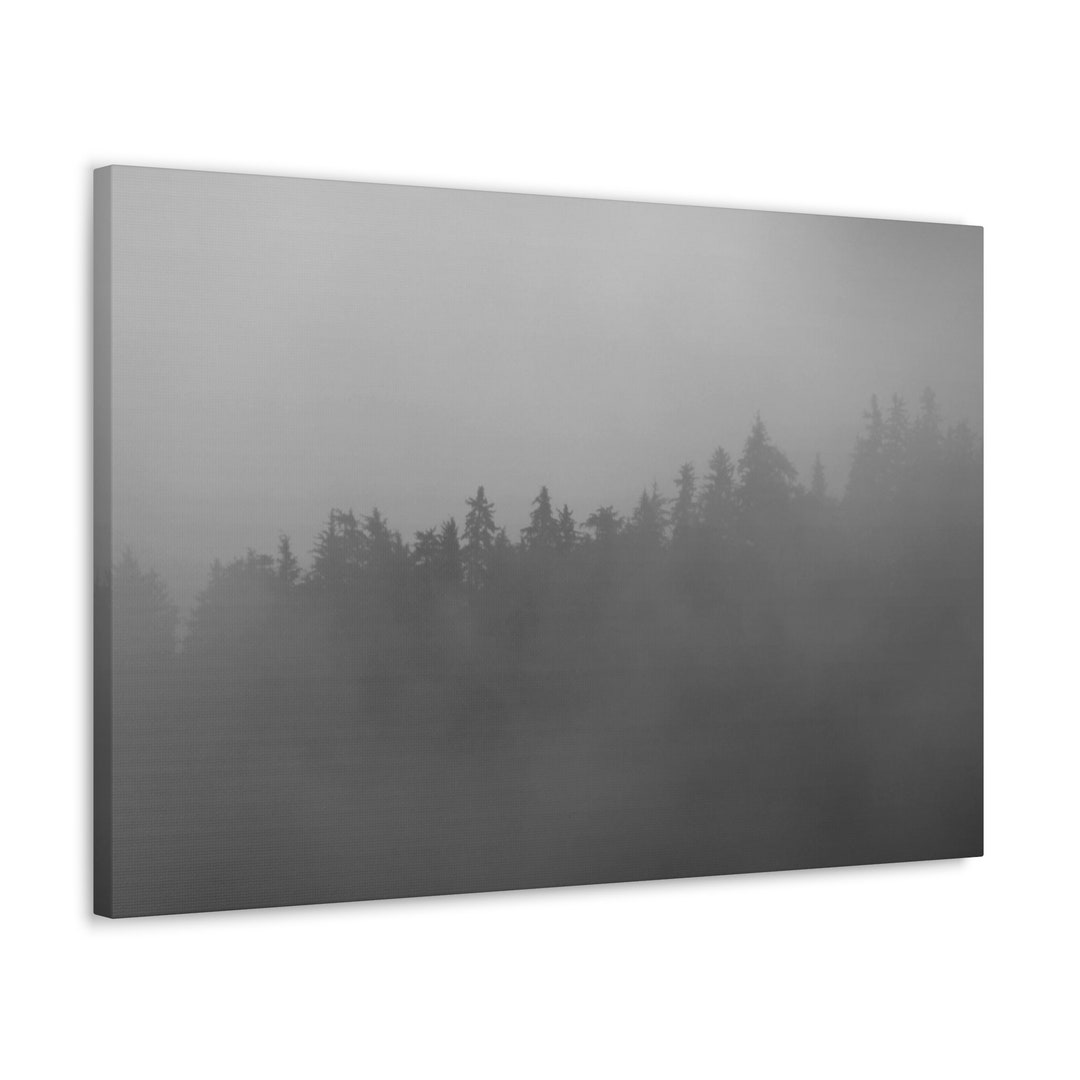 Original Photography Juneau Alaska Fog and Trees Canvas Gallery Wraps ...