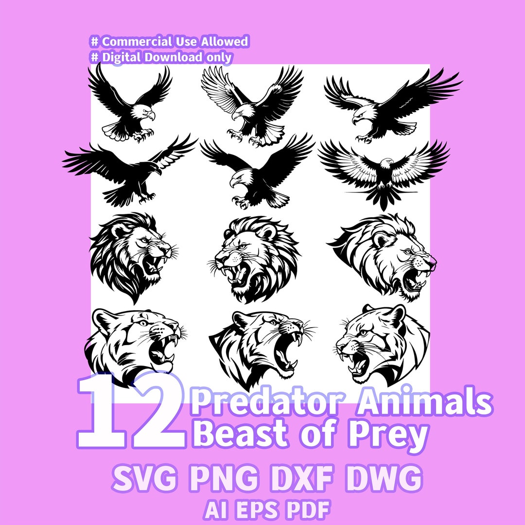 12 Predator Animal Bundle SVG, Safari Svg,eagle, Lion, Leopard, Cricut ...