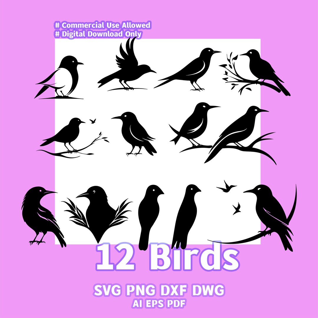12 Lovely Bird Bundle SVG, Bird Lover Svg, Bird Mamavg, Pet Svg, Cut ...