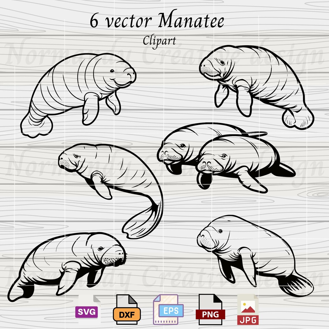 Manatee SVG, Manatee Svg Bundle, 6 Manatee Svg Eps Dxf Png and Jpeg ...