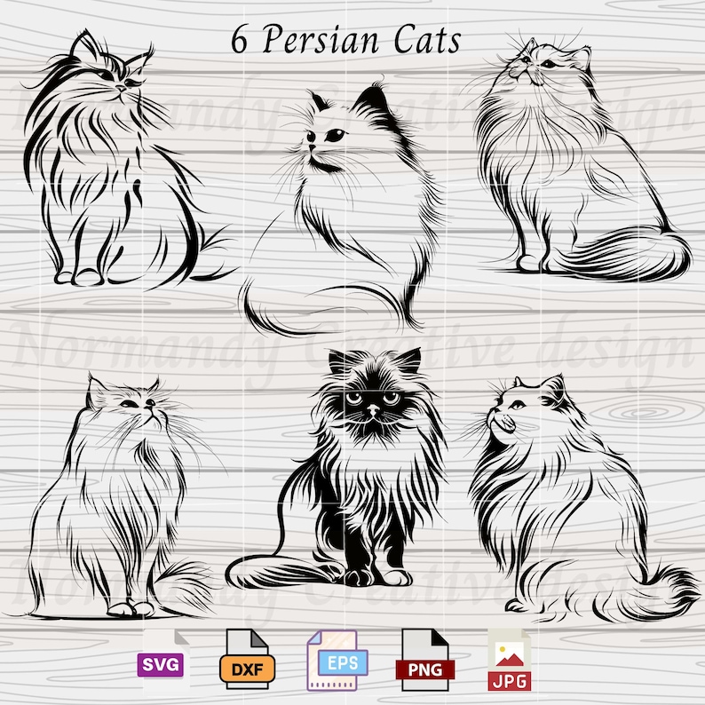 Cat SVG, 6 Persian Cat Svg Eps Dxf Png and Jpeg, Cat Lover Svg, Kitten ...