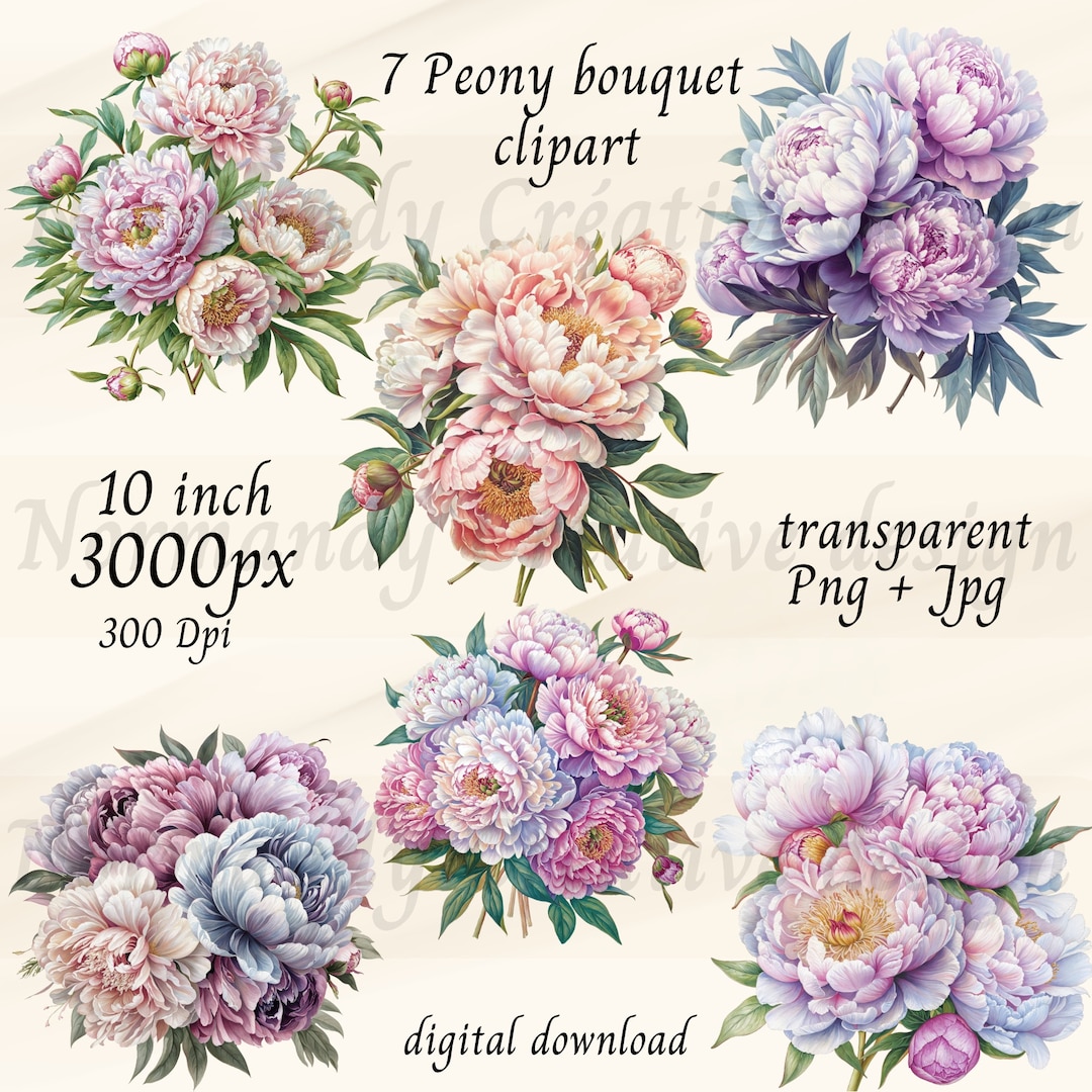 Peony Clipart, Watercolor Peony Bouquet Clipart, 6 Peony Illustration ...