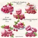 French Macaron Raspberry Clipart, 6 French Macarons Png and Jpeg ...