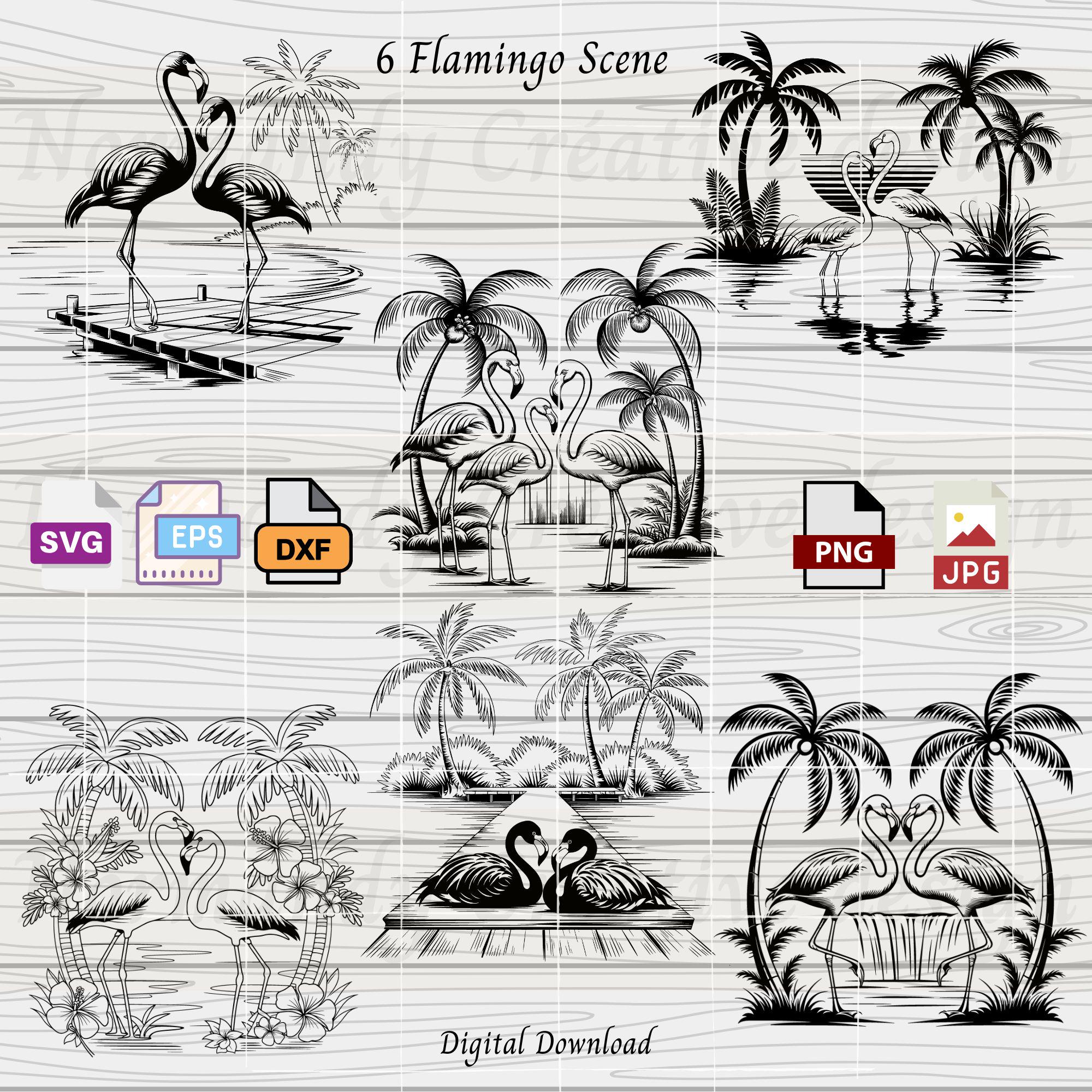 Flamingo Svg Bundle, 6 Flamingos Svg Eps Dxf Png and Jpg, Flamingo Clip ...