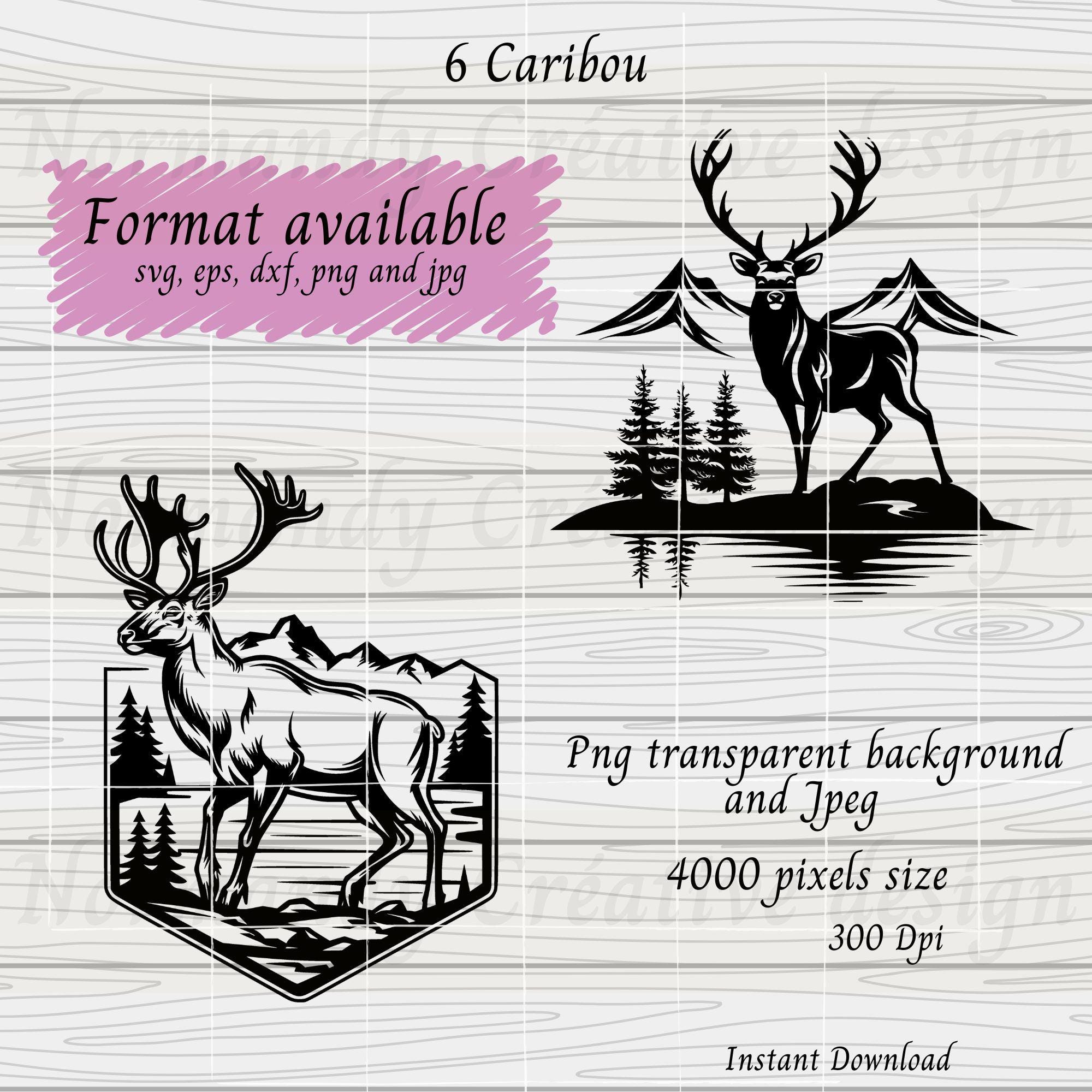 Caribou Svg, 6 Canadian Reindeer Svg Eps Dxf Png and Jpeg, Forest ...
