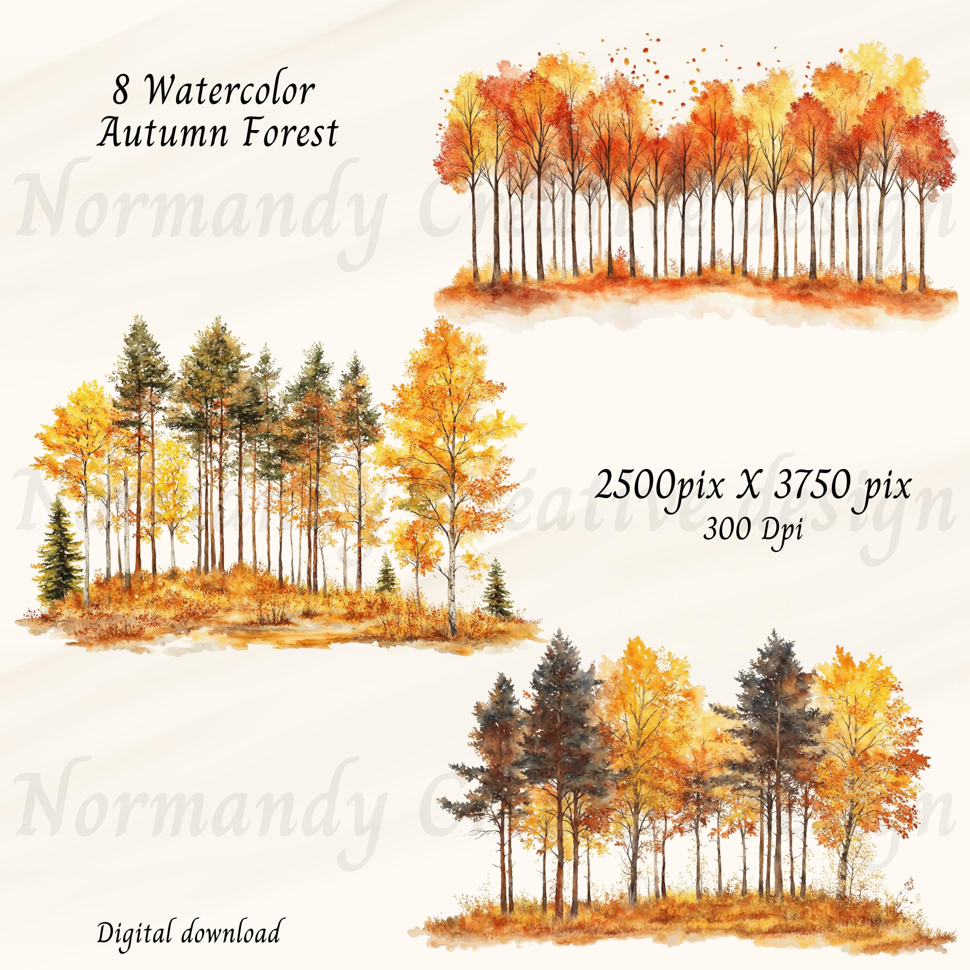 Watercolor Autumn, Autumn Forest Clipart Png Transparent Background and ...