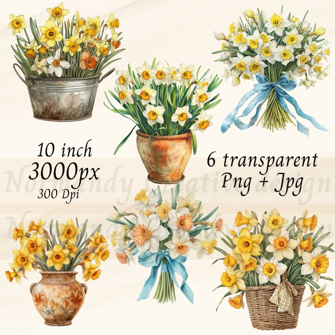 Daffodils Clipart, Spring Flowers, Bouquet of Daffodils, Yellow Spring ...