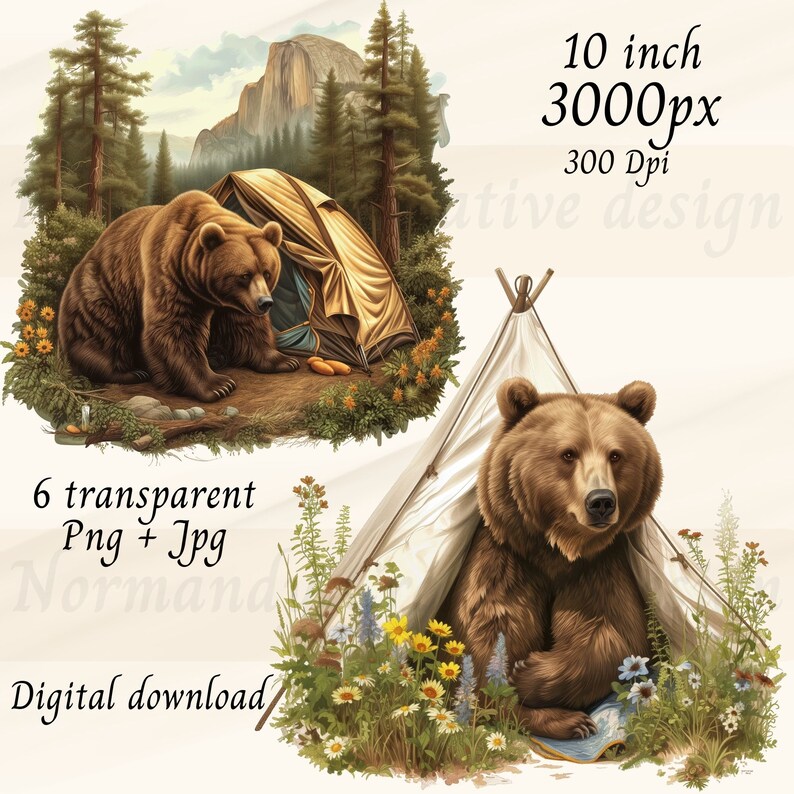 Brown Bear Clipart, Watercolor Forest Bear Camper Png and JPG, Digital ...