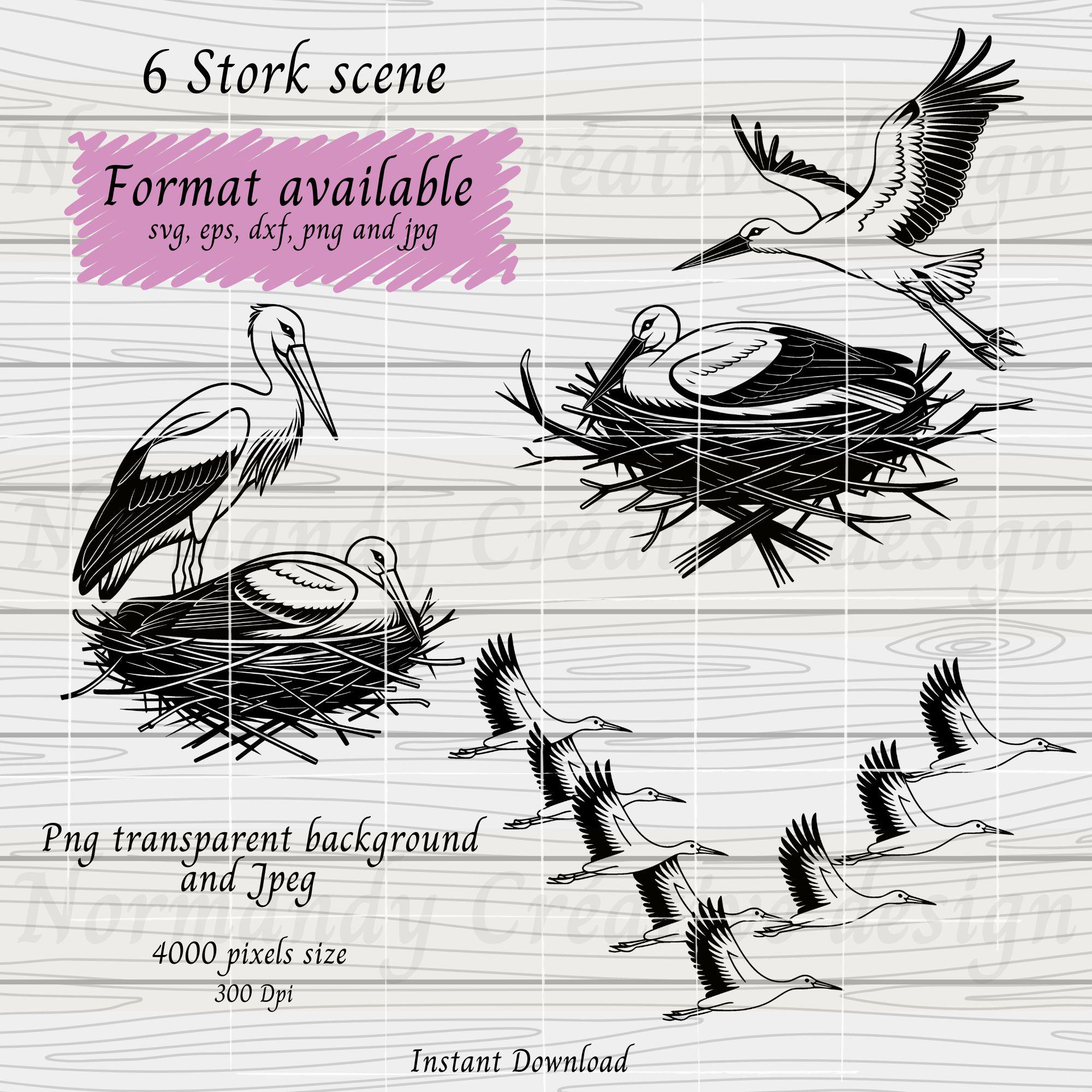 Stork Bird SVG Files, 6 Stork Svg Eps Dxf Png and Jpeg, Stork Bird SVG ...