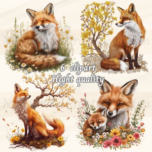 Fox Clipart Set, Cute Woodland Fox PNG and JPG, Woodland Animal, Baby ...
