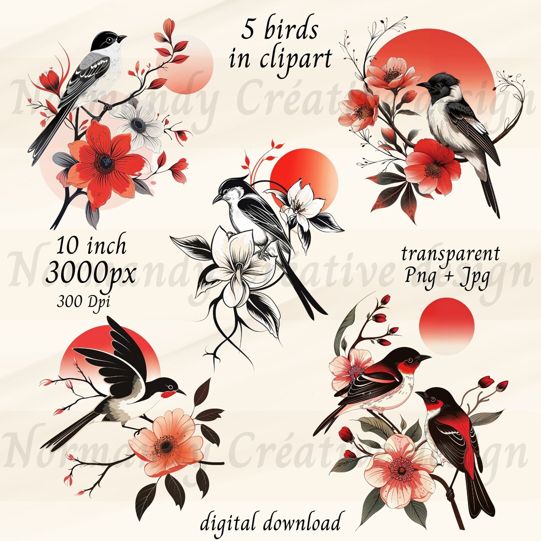 Bird Clipart, Birds Clipart Bundle, Bird Png and Jpg, 5 Birds on Branch ...