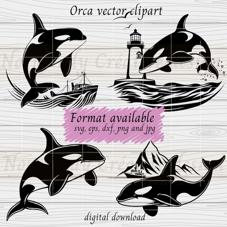 Orca Svg, 11 Whale SVG Bundle and Eps Dxf Png Jpg, Sea Animals Clipart ...