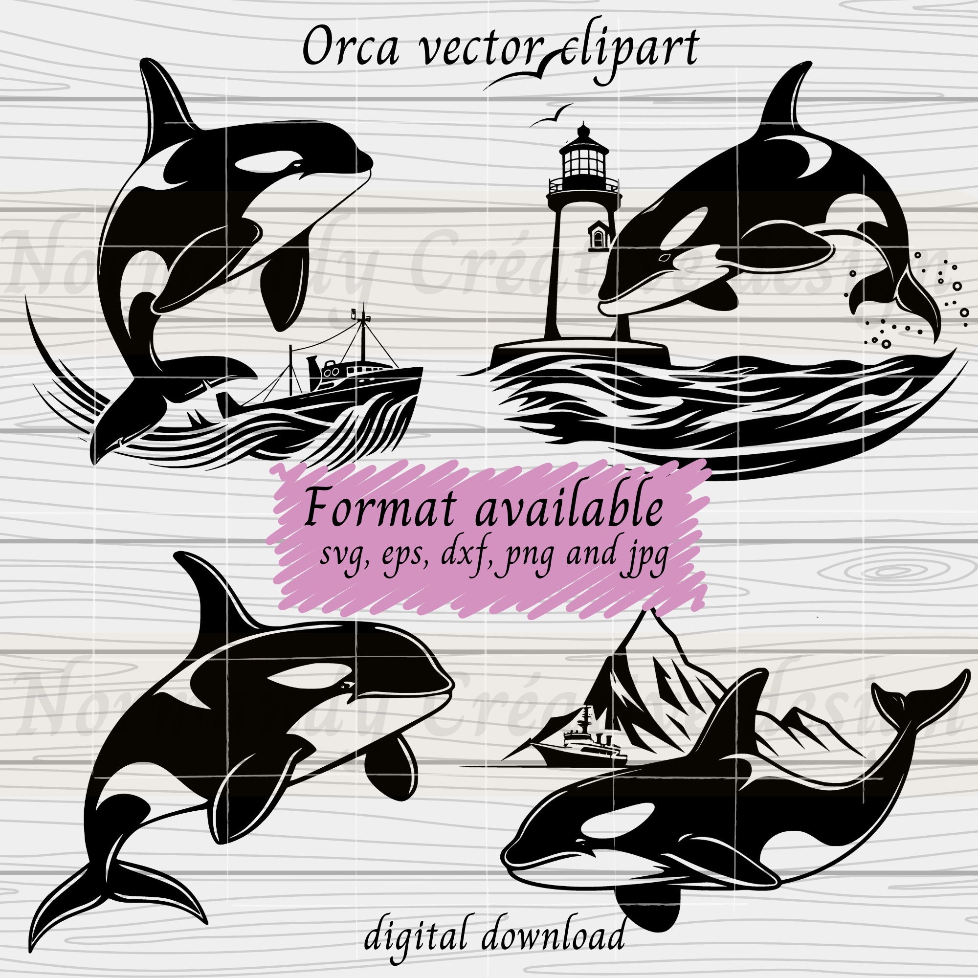 Orca Svg, 11 Whale SVG Bundle and Eps Dxf Png Jpg, Sea Animals Clipart ...