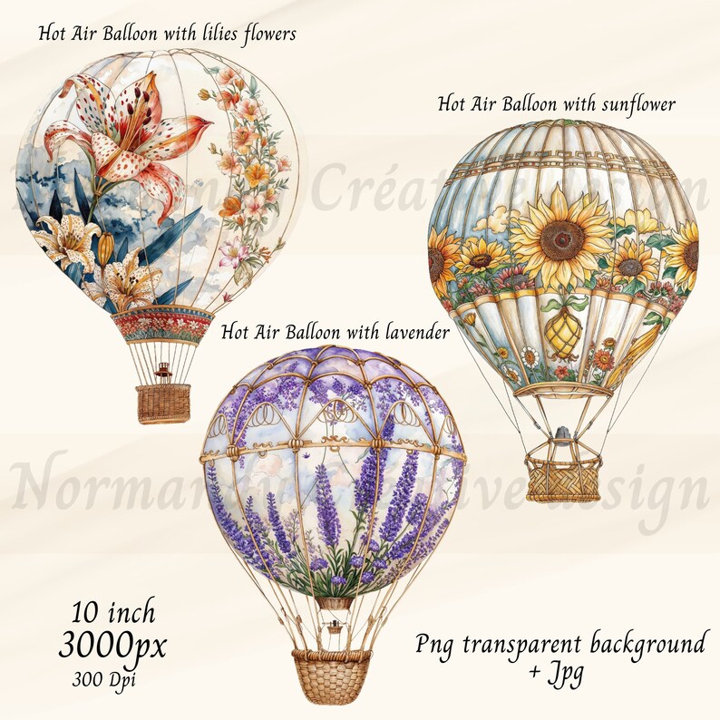 Watercolor Air Balloons With Flowers, Clipart Hot Air Balloon, 9 Air ...