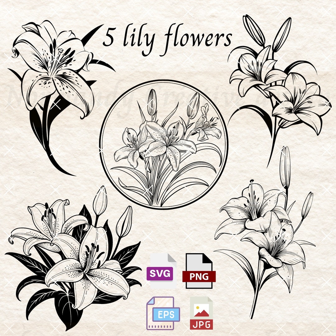 Lily Flowers Svg, Lilies Svg, Flower Bouquet Svg Eps Png and Jpg ...