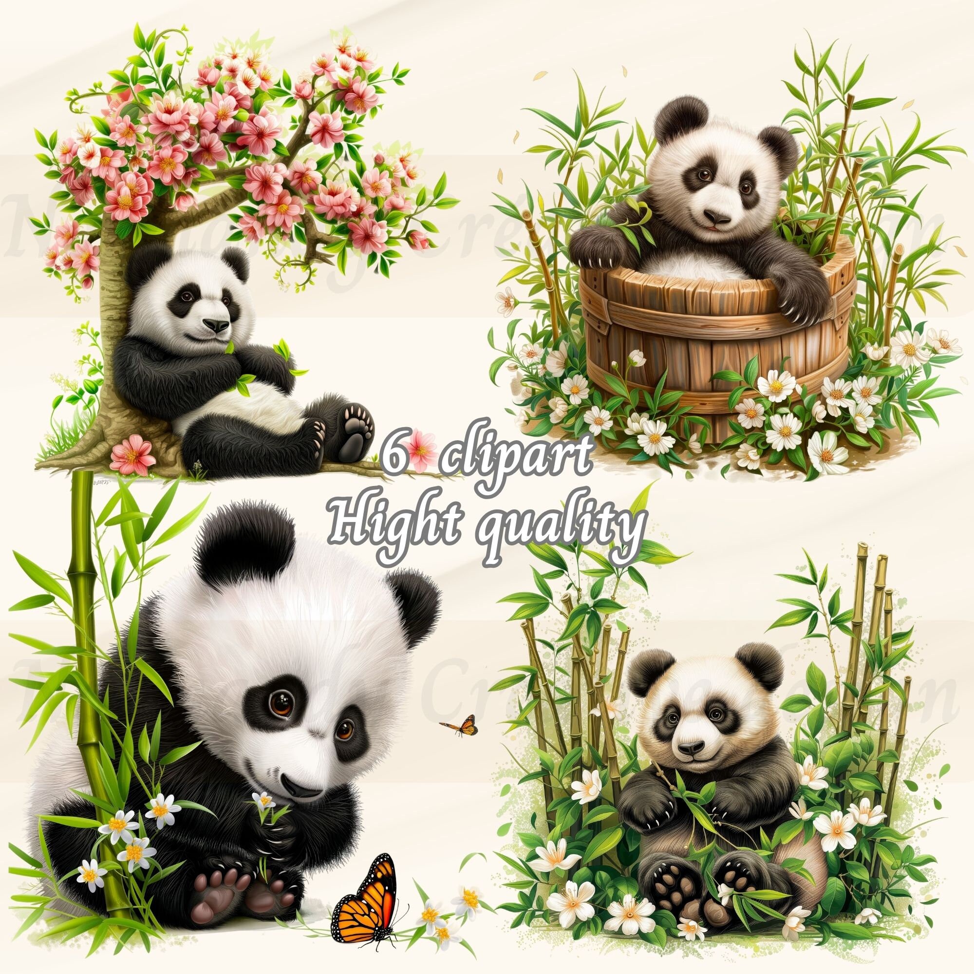 Cute Pandas Clipart, Baby Panda Clipart and Illustration, 6 PNG and JPG ...