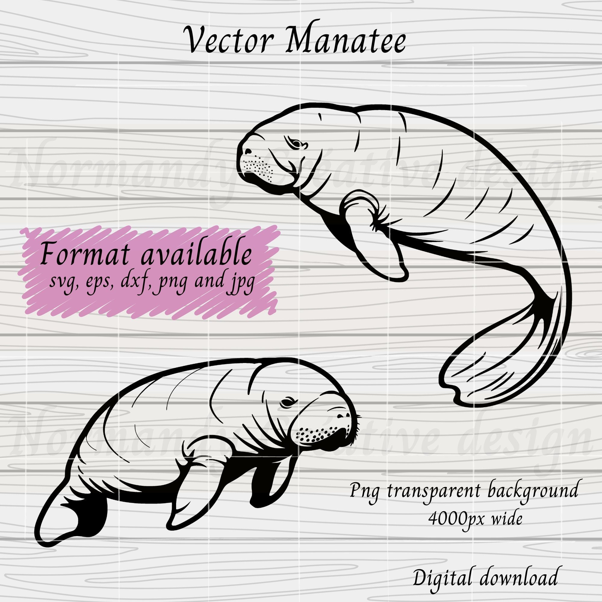 Manatee SVG, Manatee Svg Bundle, 6 Manatee Svg Eps Dxf Png and Jpeg ...