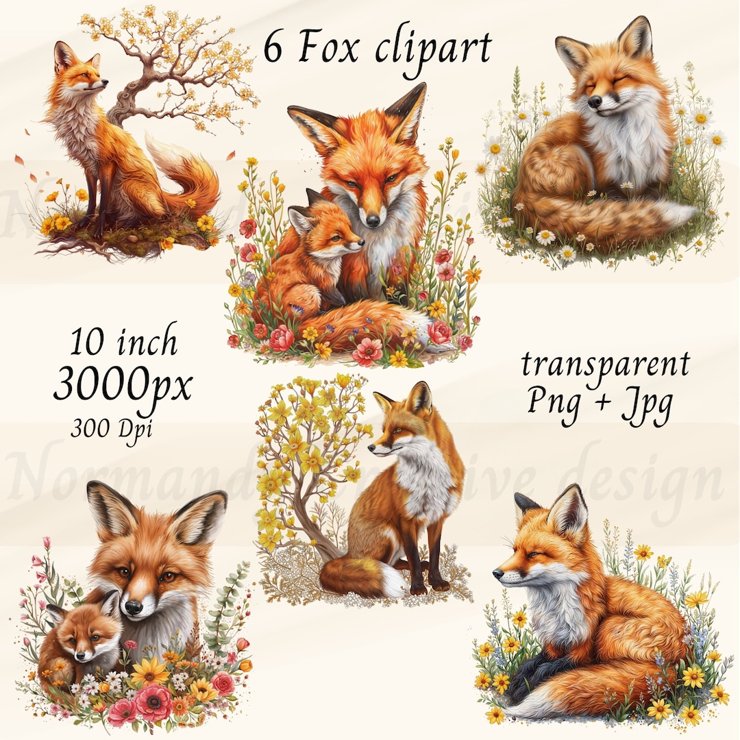 Fox Clipart Set, Cute Woodland Fox PNG and JPG, Woodland Animal, Baby ...
