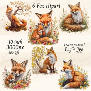 Fox Clipart Set, Cute Woodland Fox PNG and JPG, Woodland Animal, Baby ...