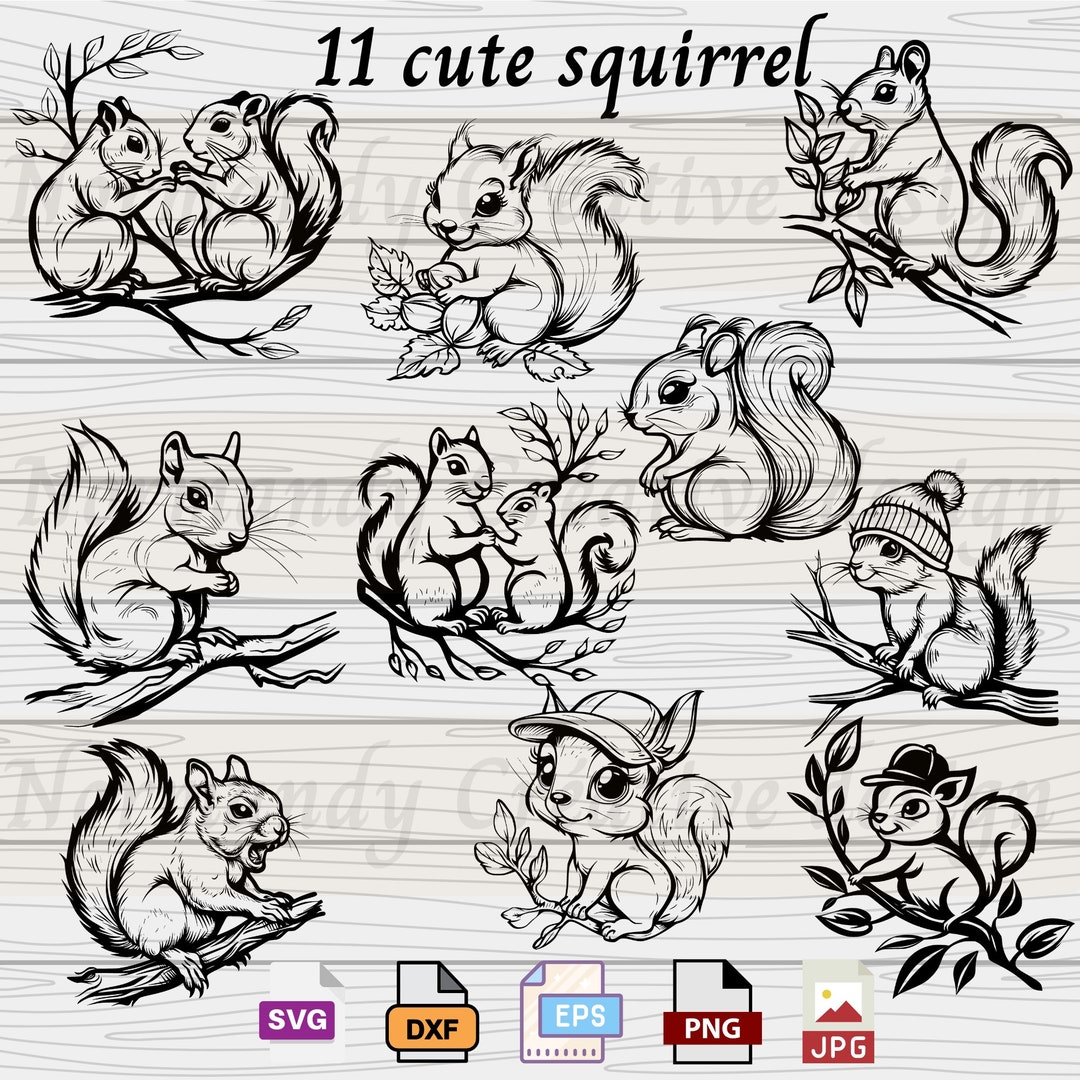 Squirrel Svg, 10 Cute Baby Squirrel SVG EPS DXF Png and Jpg, Squirrel ...