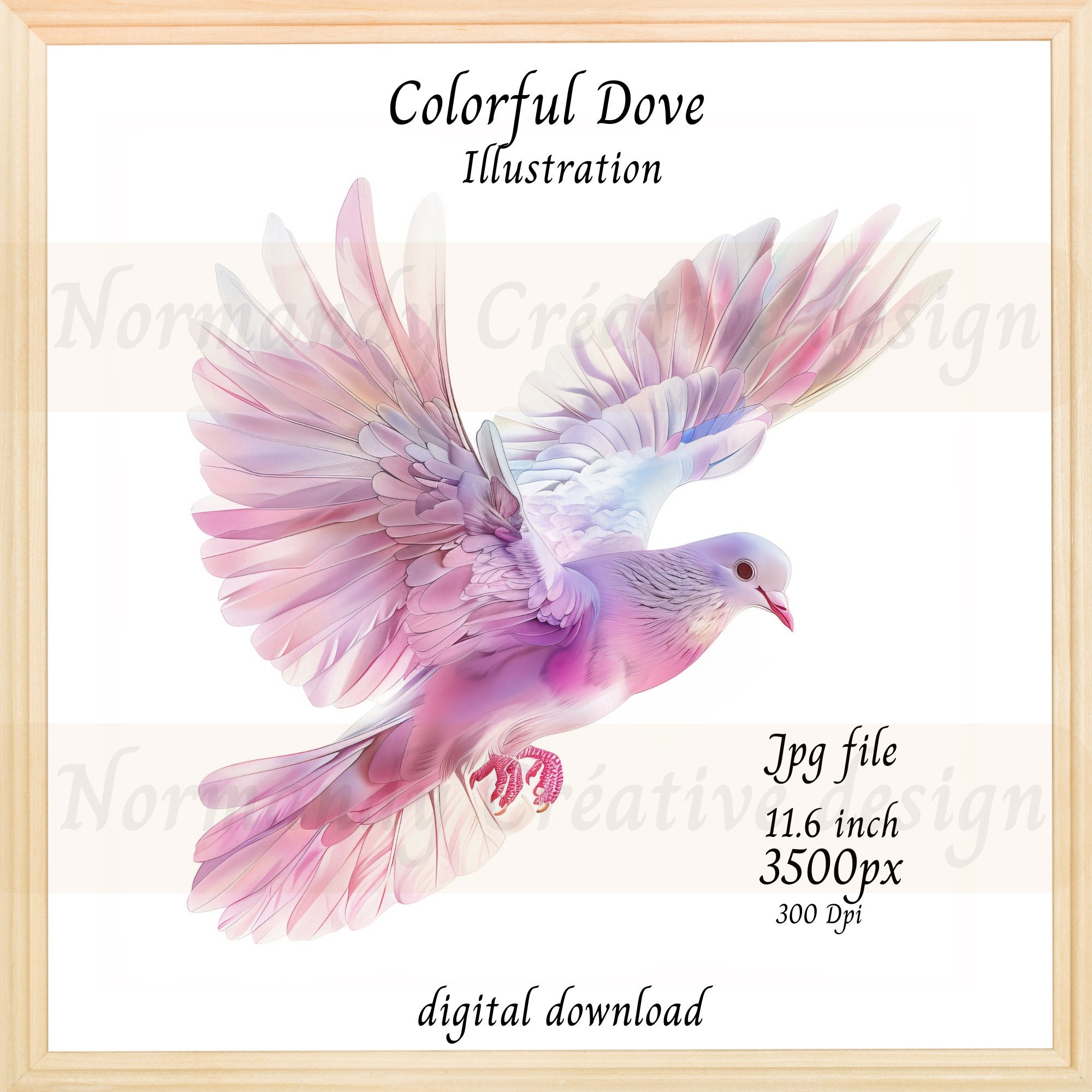 Dove Clipart, 6 Dove Watercolor High Quality Jpgs, Peaceful Bird Art ...