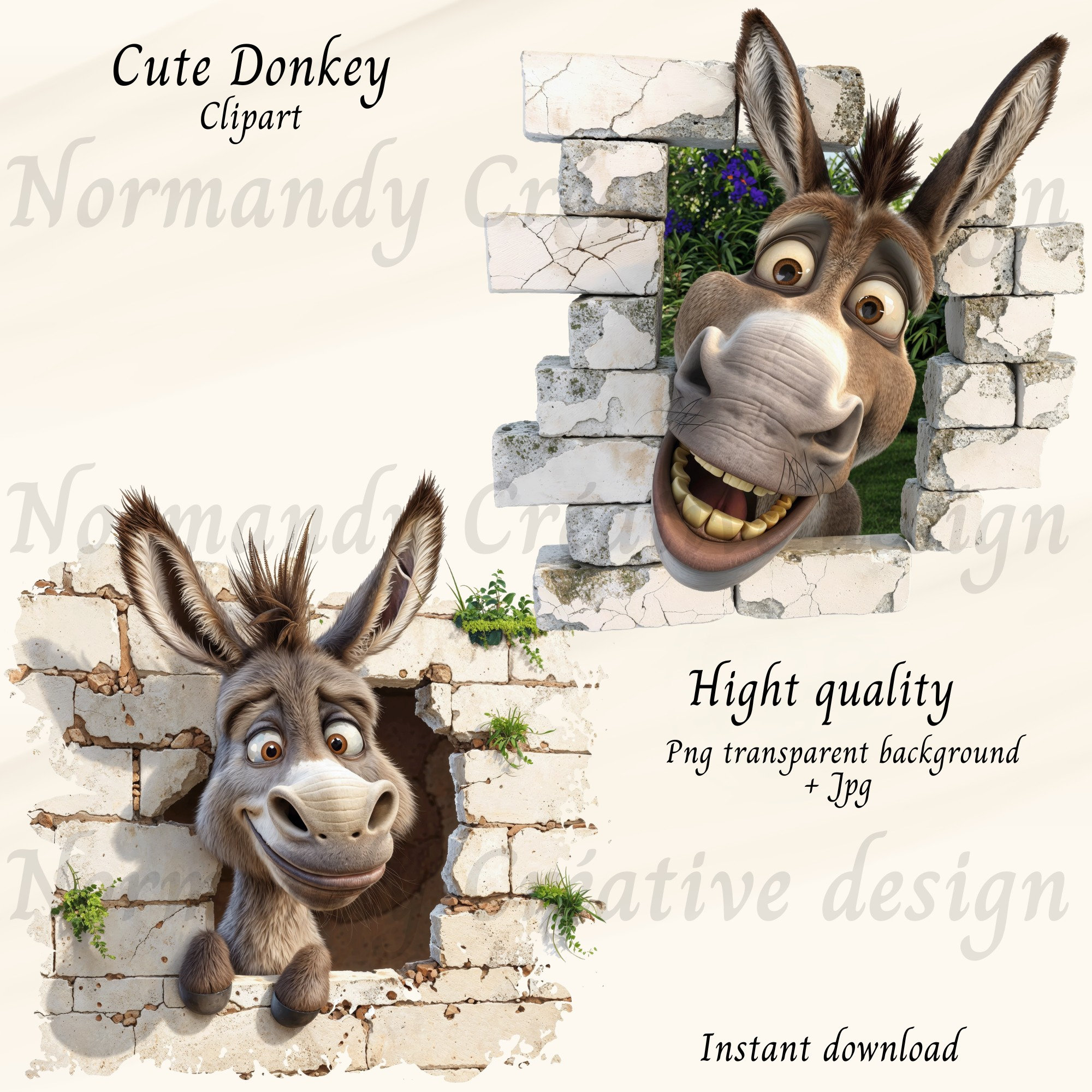 Cute Donkey Clipart, 6 Donkeys Clipart Bundle Png and Jpeg, Funny ...