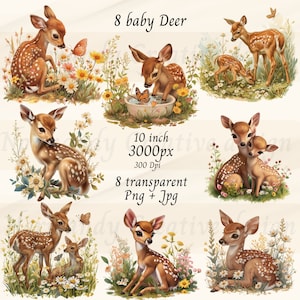 Baby Deer Clipart, 8 Animals Clip Art, Watercolor Deer, Little Deer PNG ...
