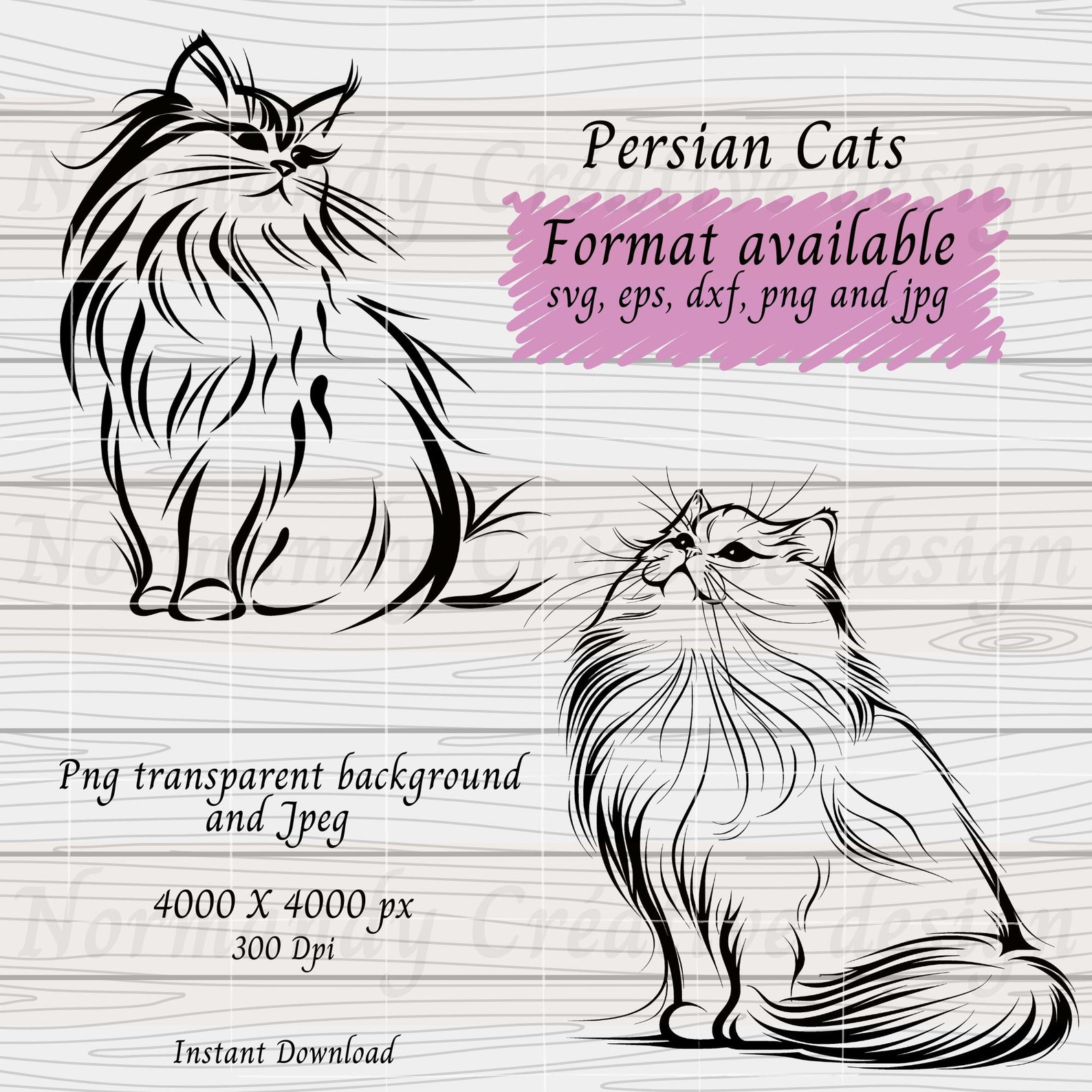Cat SVG, 6 Persian Cat Svg Eps Dxf Png and Jpeg, Cat Lover Svg, Kitten ...