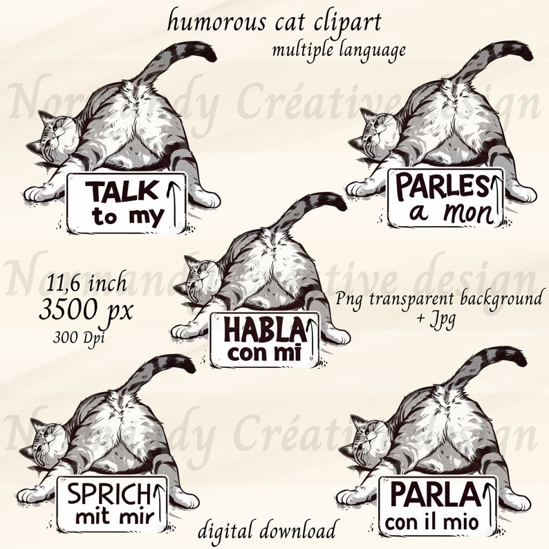 Funny Cat Png, Cat Humor Clipart Png Transparent Backgound and Jpg ...