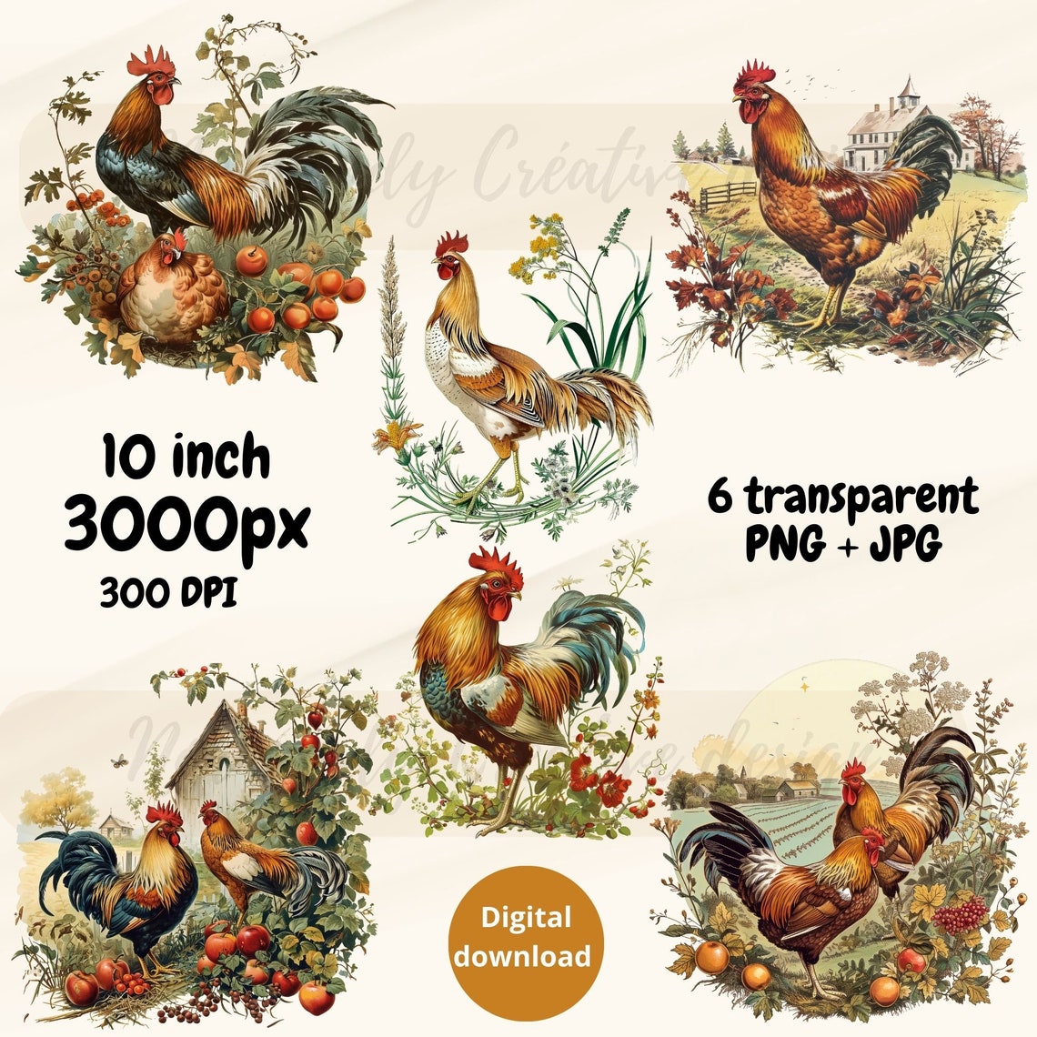 Roosters and Hens Clipart in Different Postures, Rooster With Farm in ...