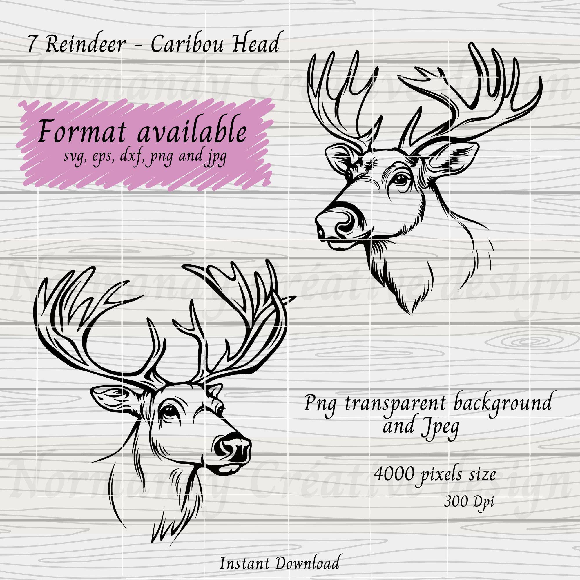 Reindeer Head Svg, 7 Caribou Head Svg Eps Dxf Png and Jpeg, Christmas ...