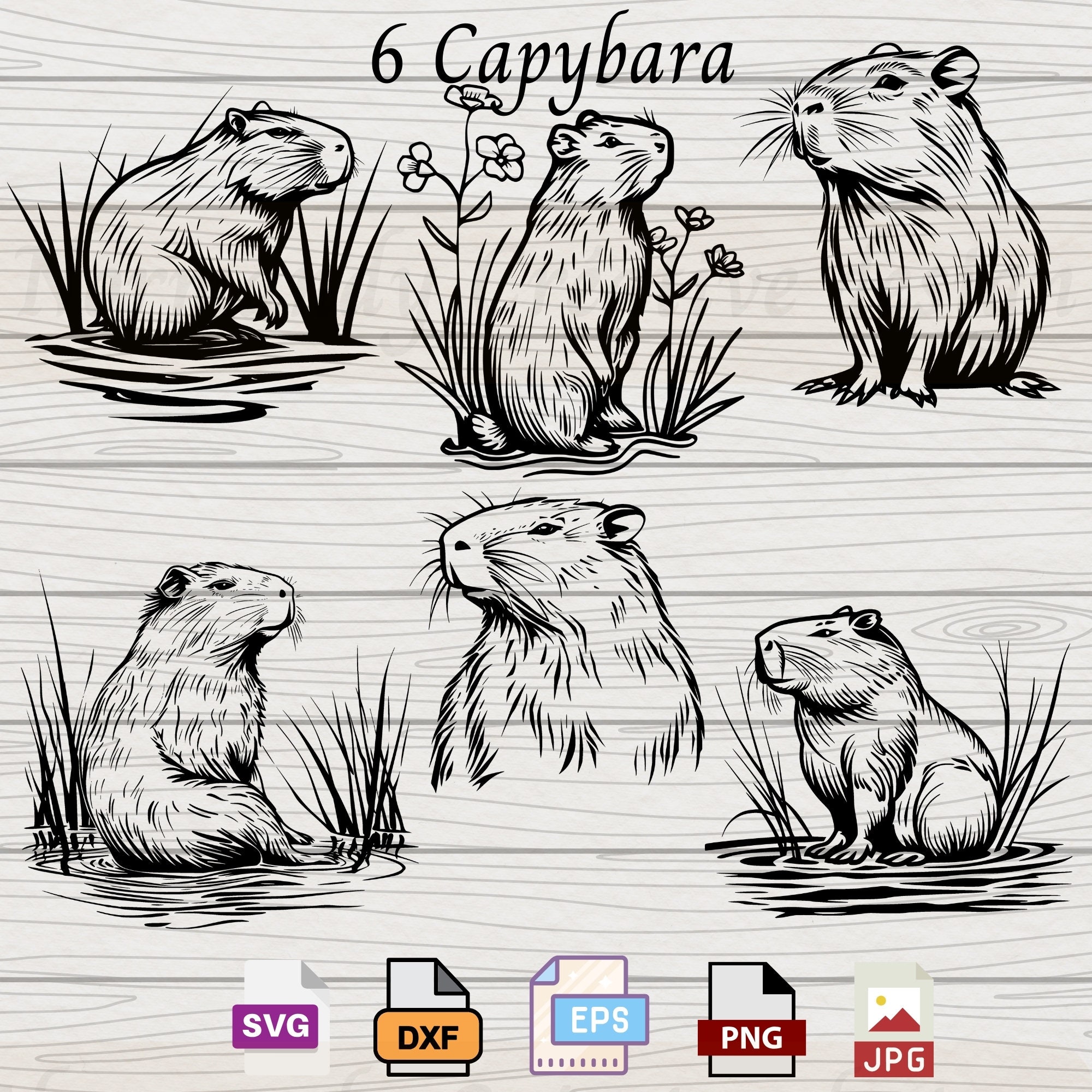 Capybara Svg, Cute Capybara Svg, Dxf, Eps, Ai, Png and Jpg, Capybara ...