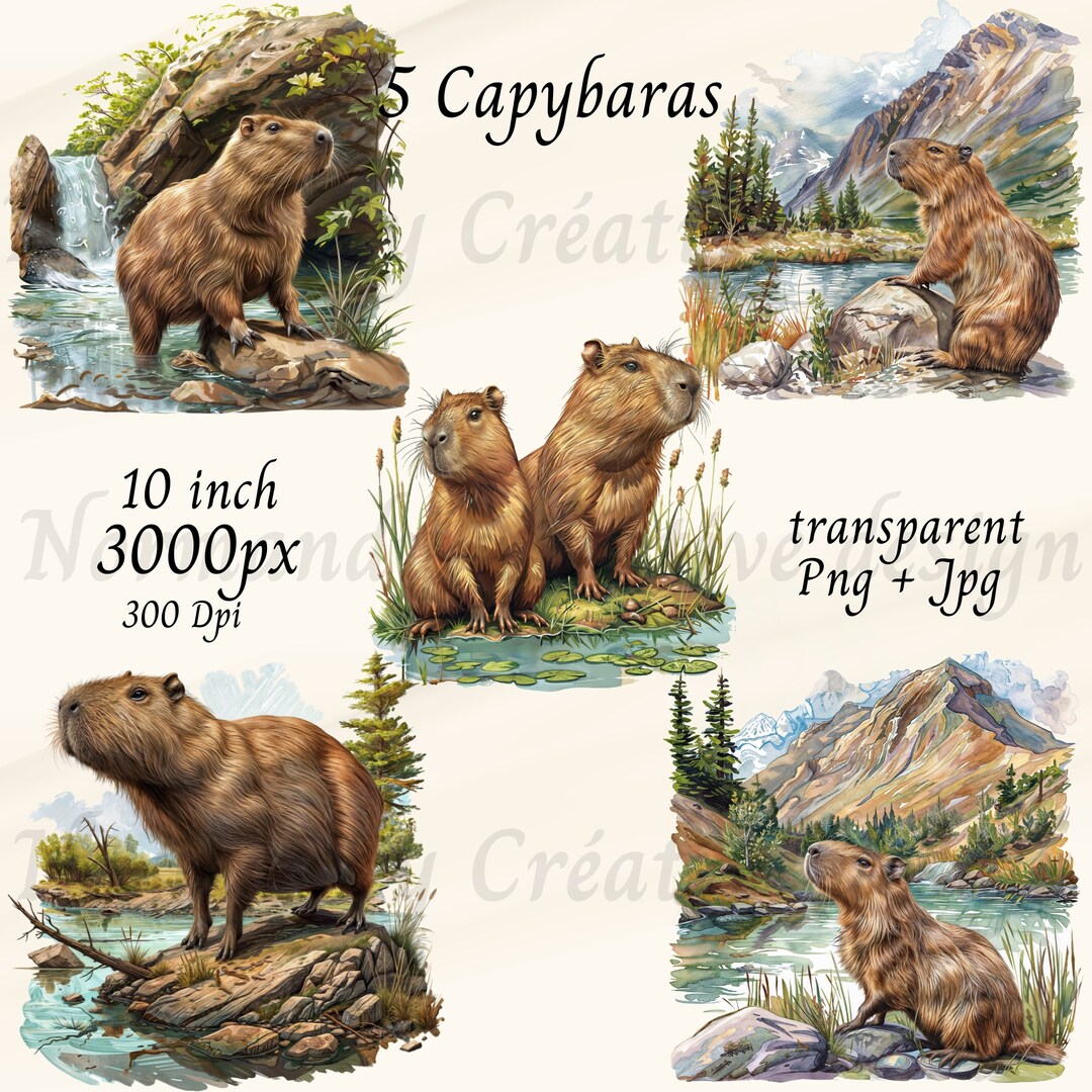 Capybara in Png Format, Capybara Clipart Set, Digital Files for Instant ...