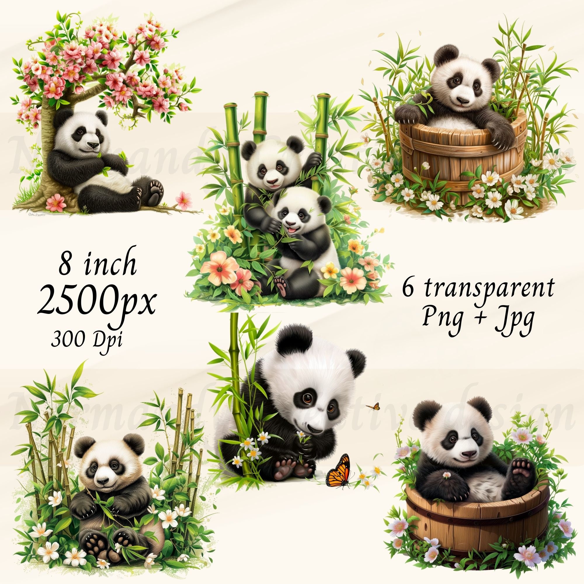Cute Pandas Clipart, Baby Panda Clipart and Illustration, 6 PNG and JPG ...