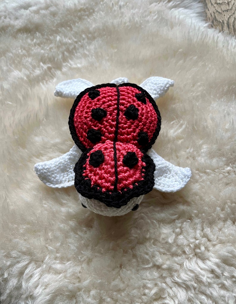 5 in 1 Turtle Crochet Pattern (english) (sprinkle-turtle, Kiwi-turtle ...