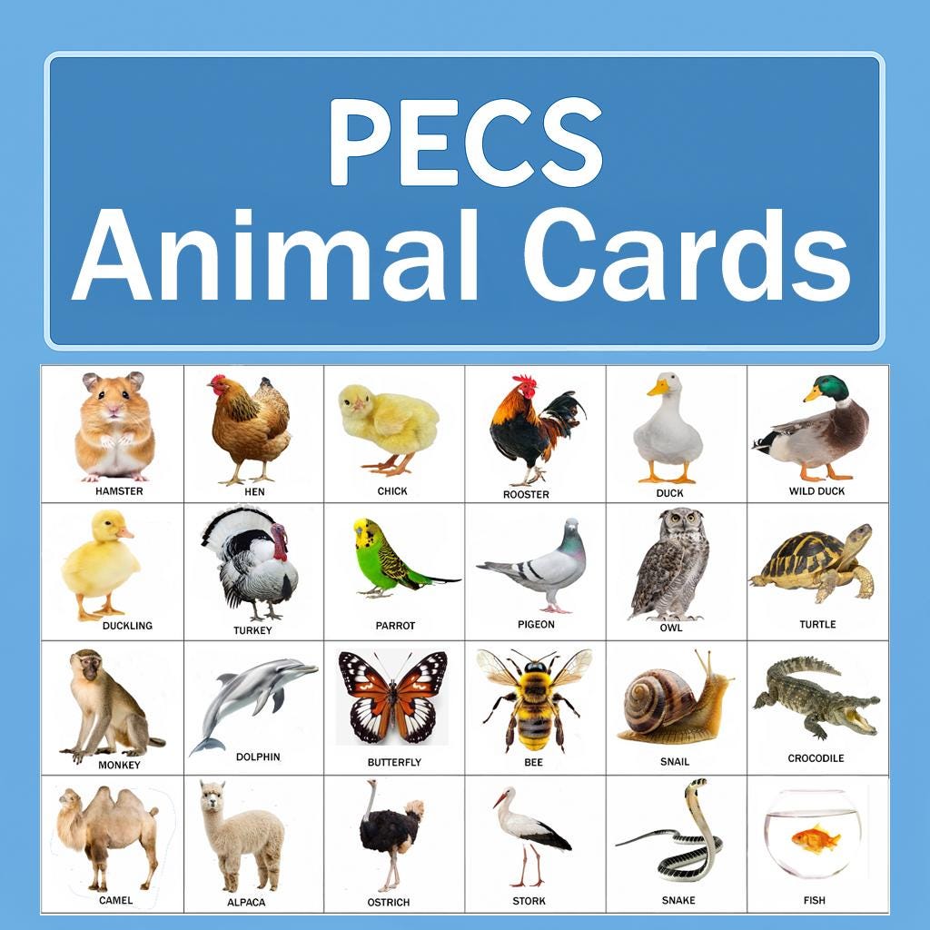 Animal PECS Cards – 48 Printable Visual Communication Cards | Autism ...