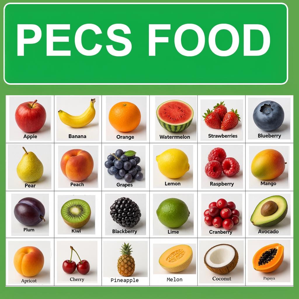 PECS Food Cards | Printable Food Flashcards | Kids Meal Visual Schedule ...