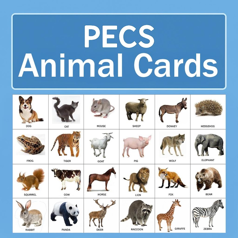 Animal PECS Cards – 48 Printable Visual Communication Cards | Autism ...