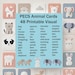 Animal PECS Cards – 48 Printable Visual Communication Cards | Autism ...