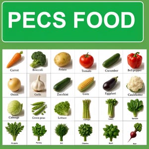 PECS Food Cards: Visual Meal Planner for Autism (instant Download ...