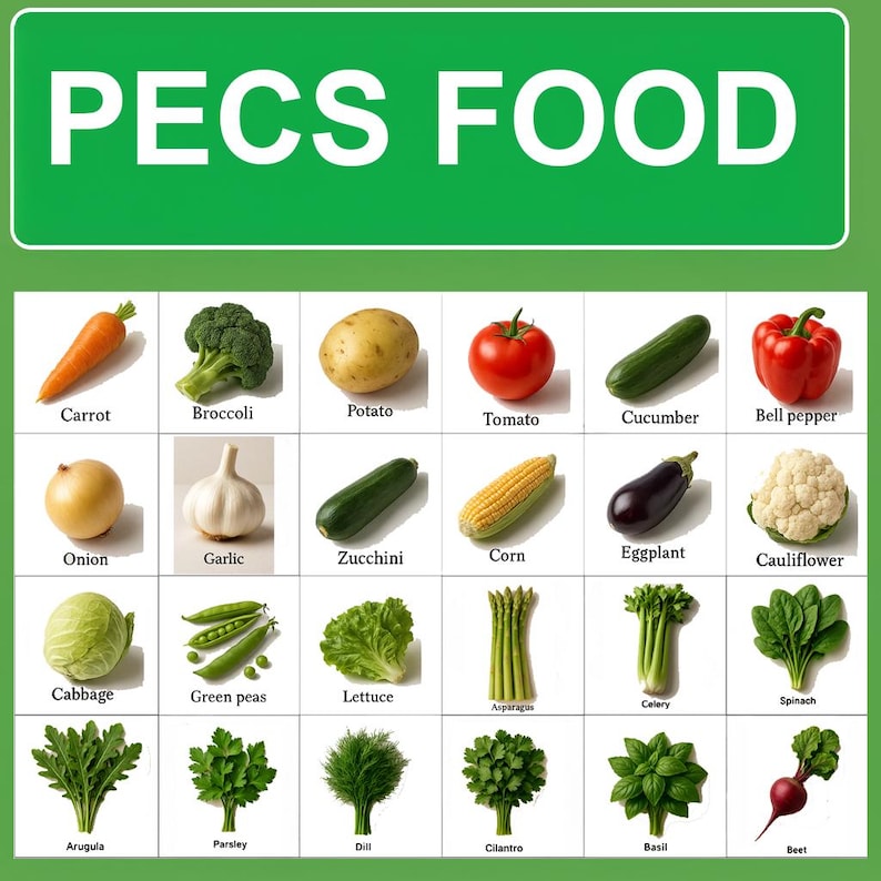 PECS Food Cards | Printable Food Flashcards | Kids Meal Visual Schedule ...