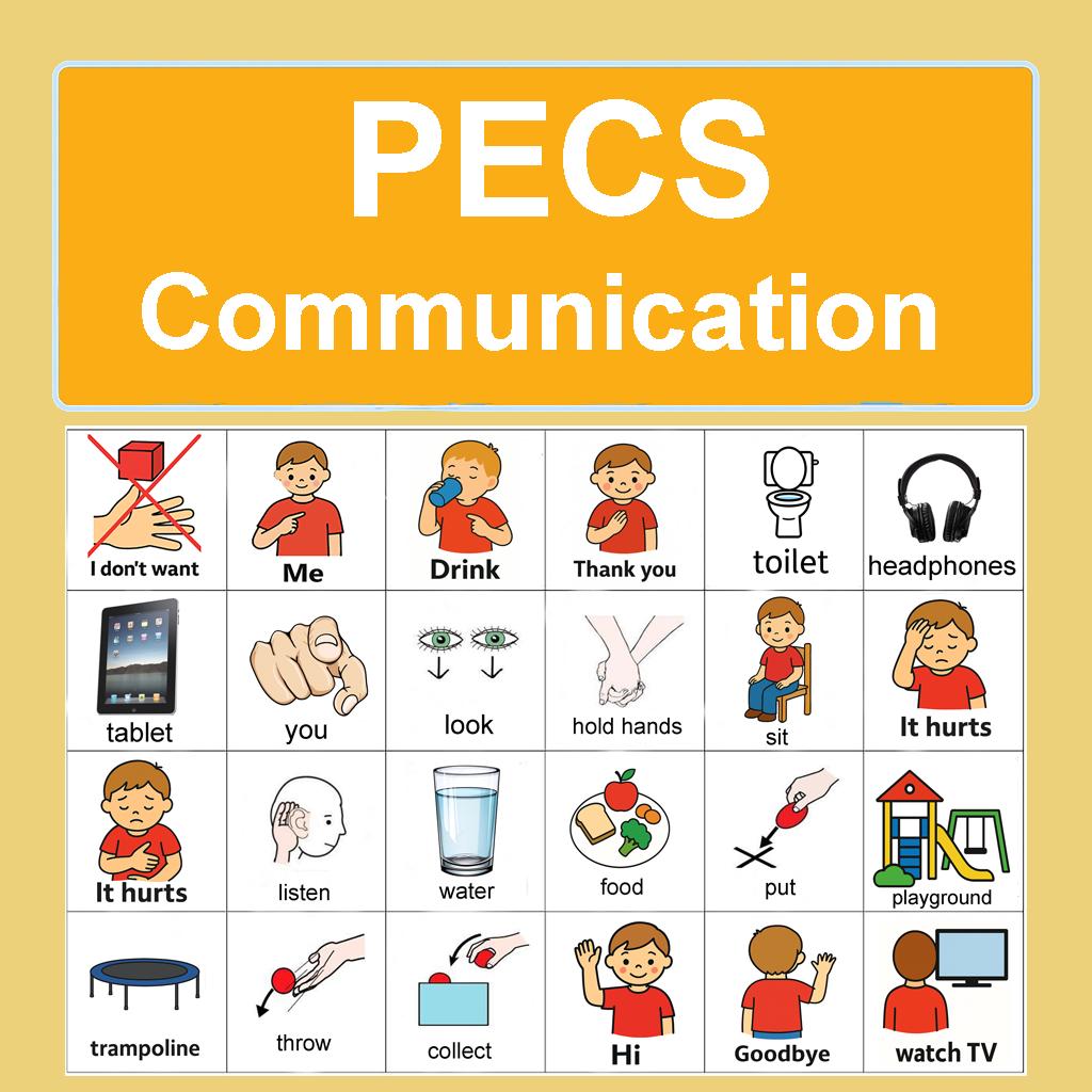 PECS Communication Cards: Visual Schedule for Autism (printable ...