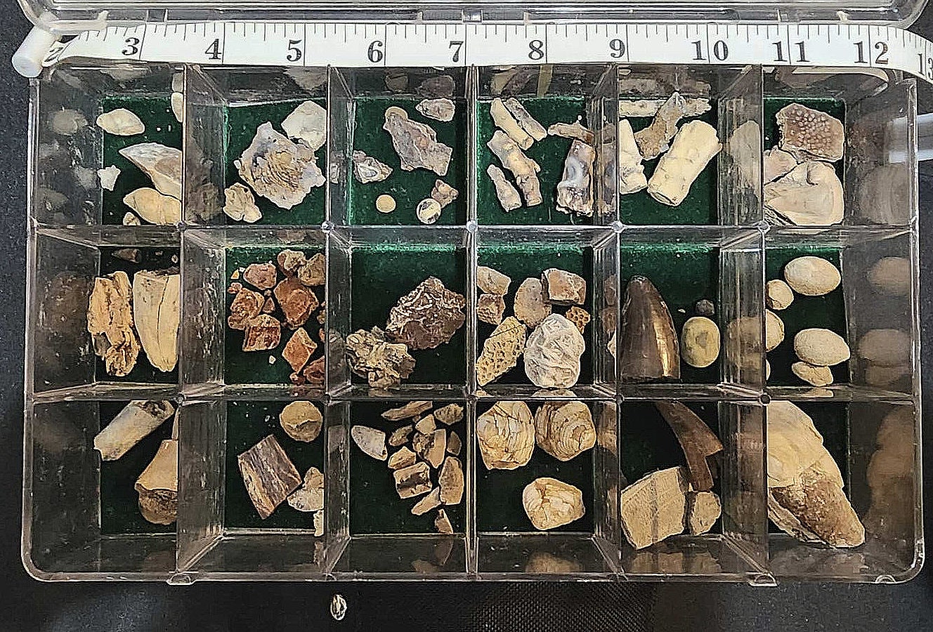 Rare Natural Fossils Collections 3 Boxes 1 Box Porphyry Mine Stones ...