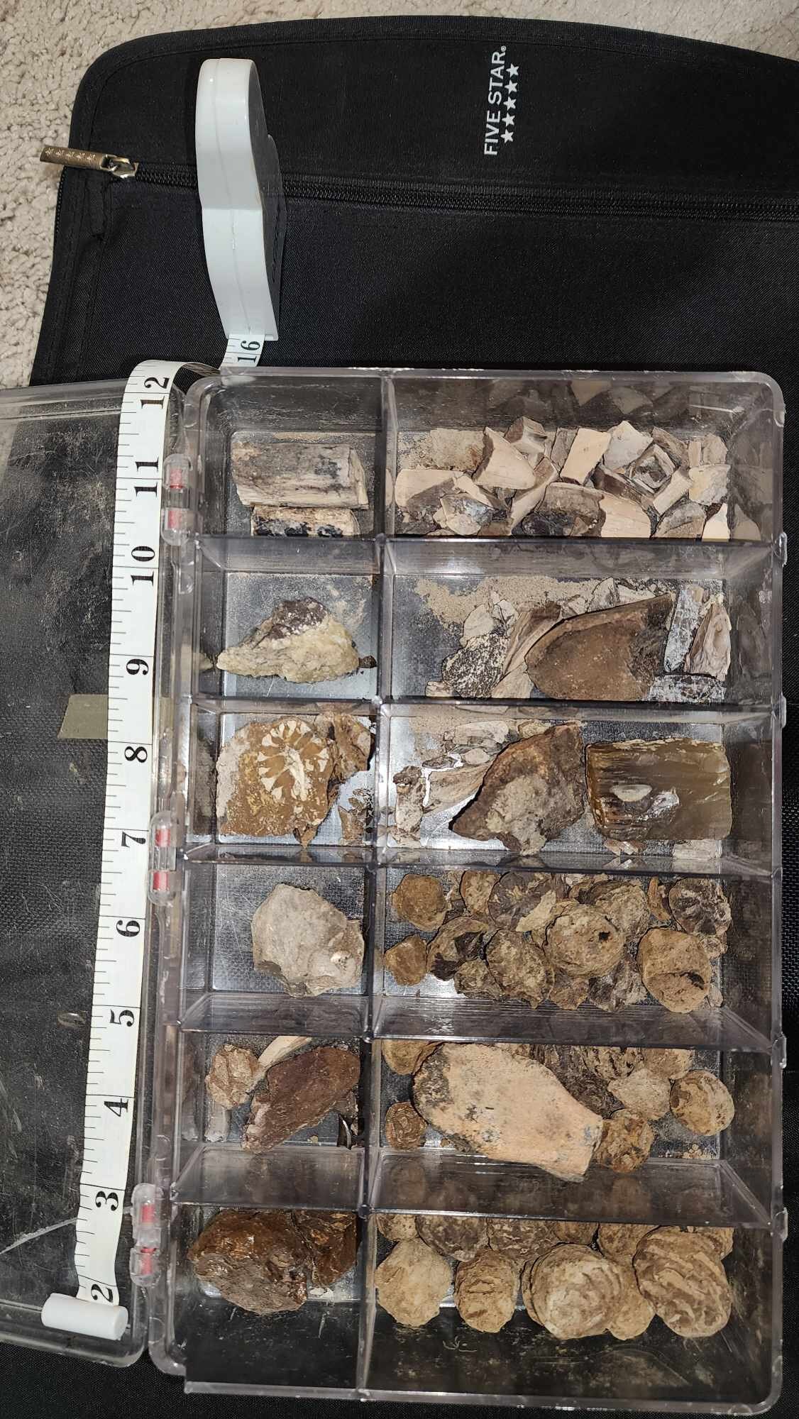 Rare Natural Fossils Collections 3 Boxes 1 Box Porphyry Mine Stones ...