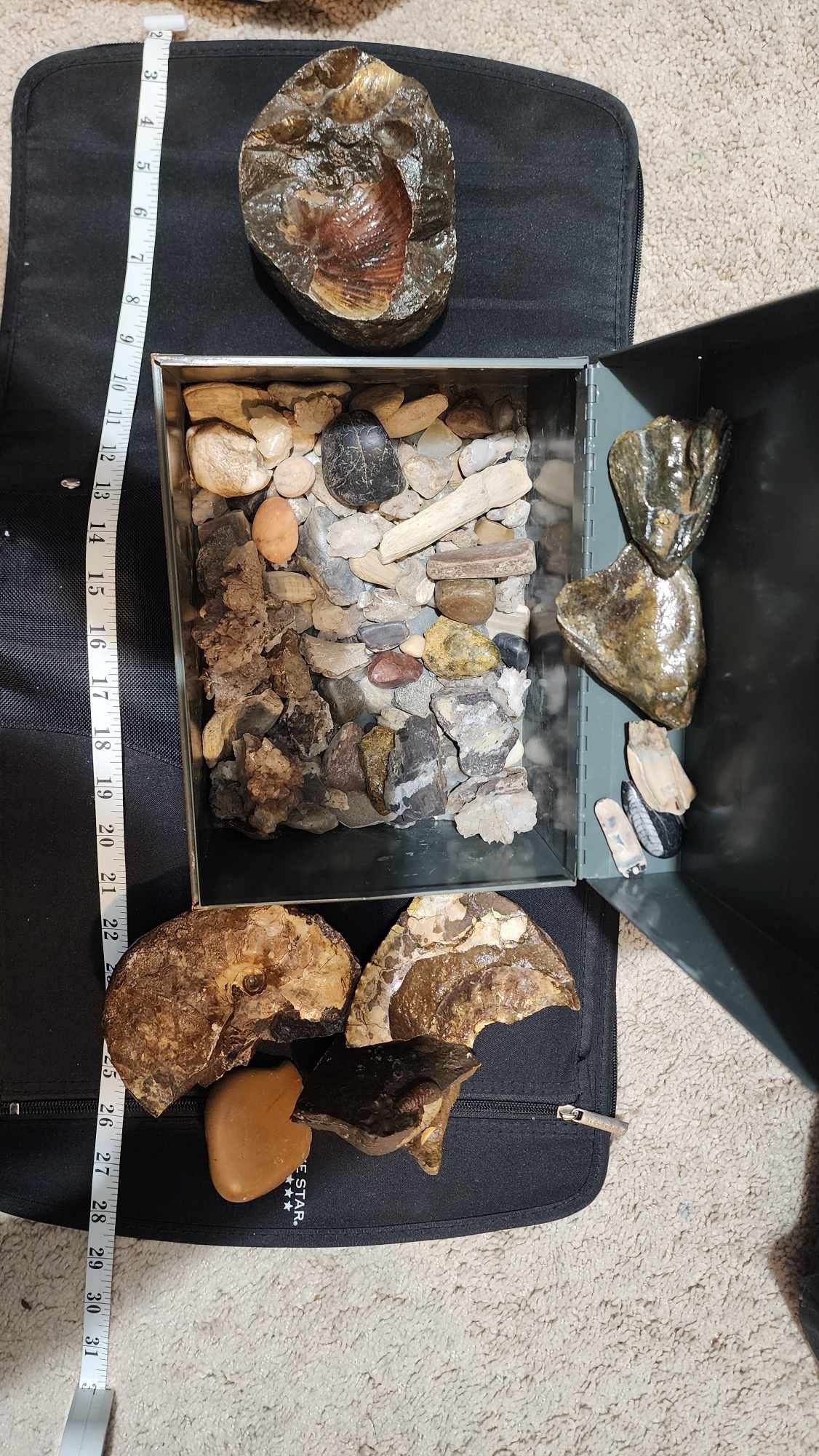 Rare Natural Fossils Collections 3 Boxes 1 Box Porphyry Mine Stones ...