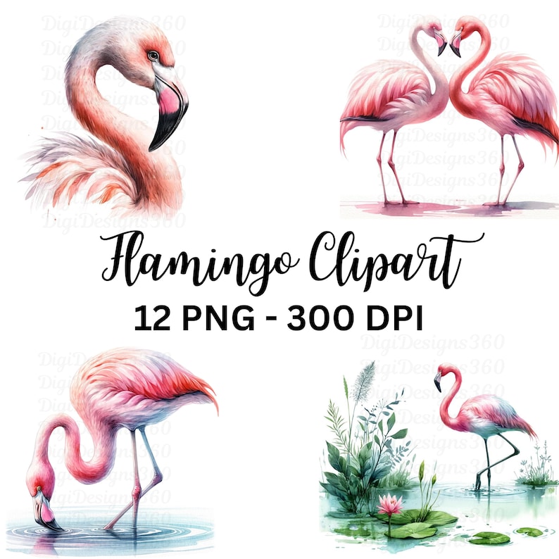 Watercolor Pink Flamingo Clipart – Tropical Bird Graphics (12 PNG) - Etsy