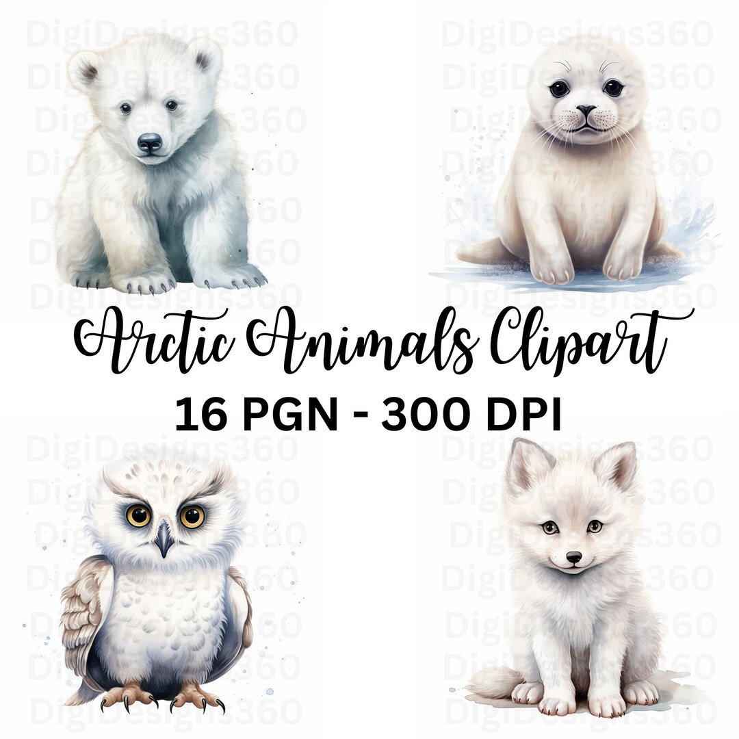 Arctic Animals Watercolor Clipart Arctic Animals Clipart Winter ...