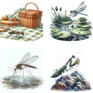Watercolor Insect Clipart – 16 Vibrant Bug Graphics (PNG) - Etsy