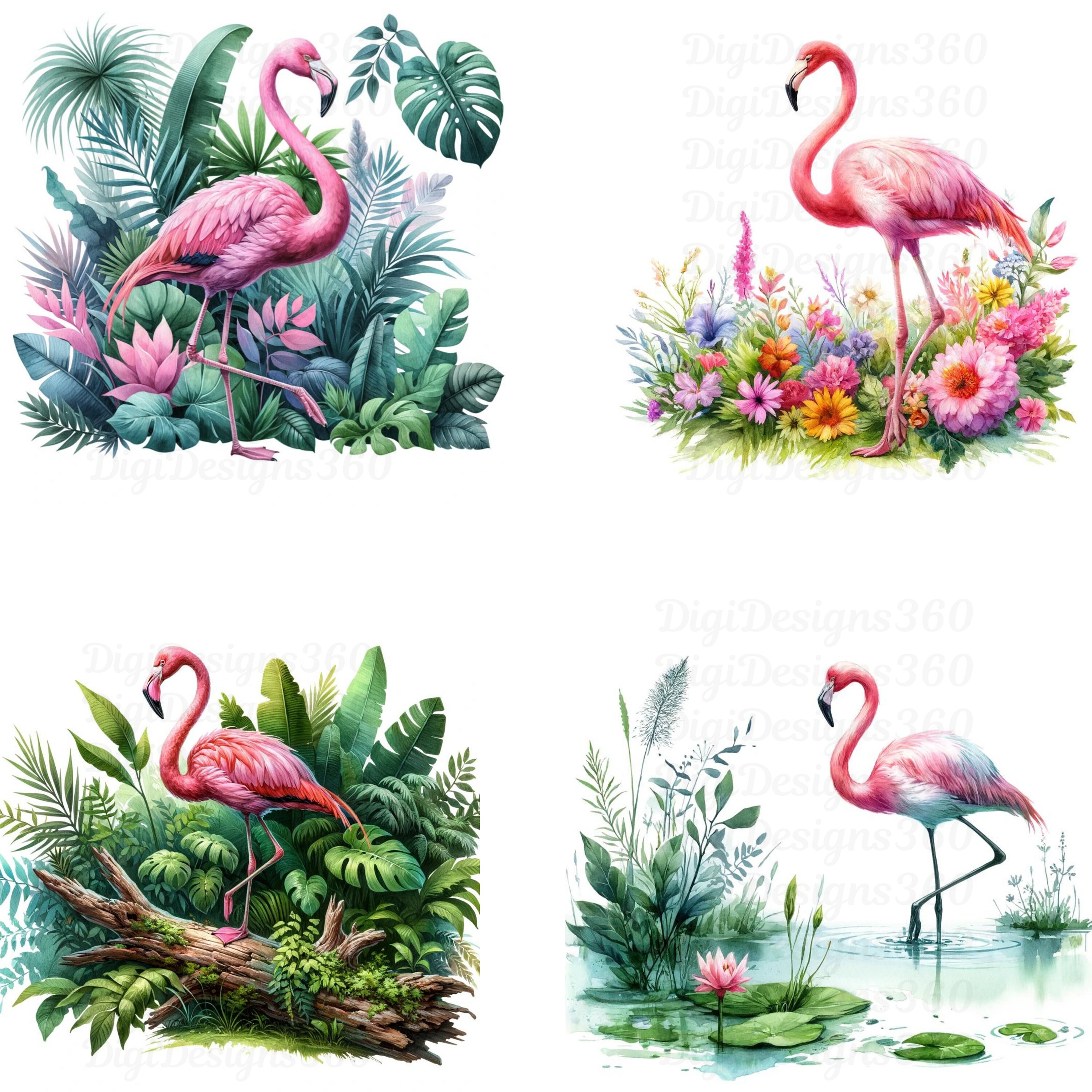 Pink Flamingo Clipart Watercolor Tropical Bird Graphics for ...