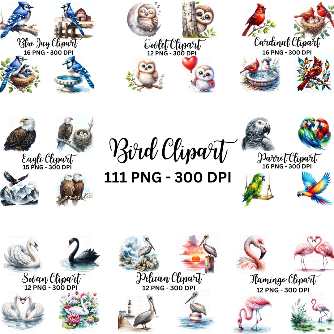 Watercolor Bird Clipart Bundle, 111 PNG Graphics (digital Download) - Etsy